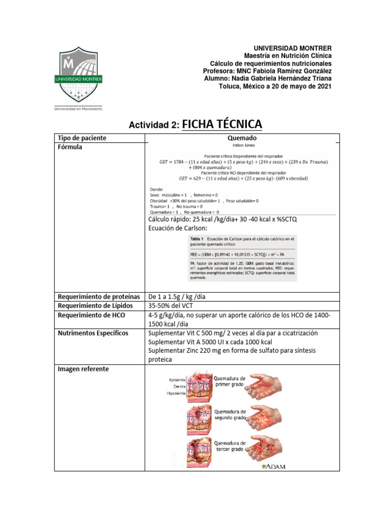 ACT 2 Fichas Tecnicas Especiales | PDF | Caloría | Especialidades Medicas
