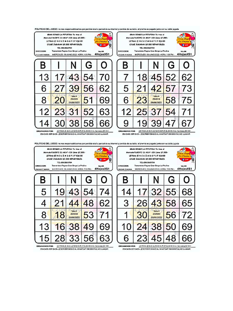 Bingo | PDF