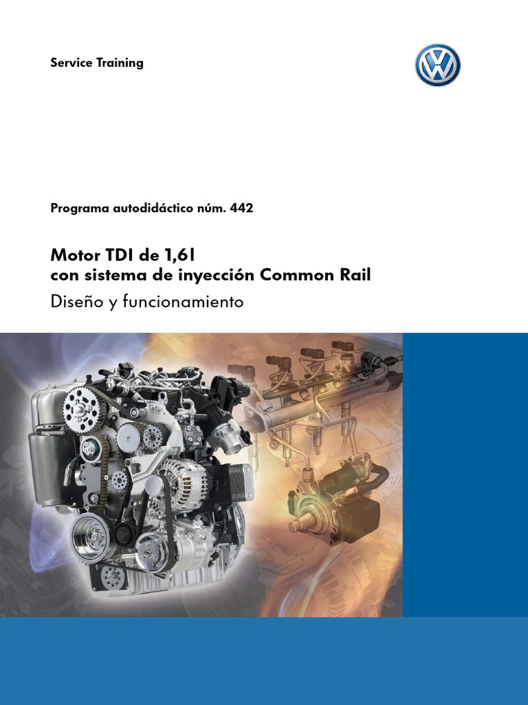442 Motor TDI Common Rail 16 | PDF