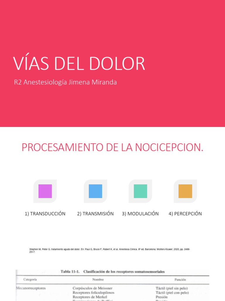 Vías Del Dolor | Descargar gratis PDF | Dolor | Fisiología
