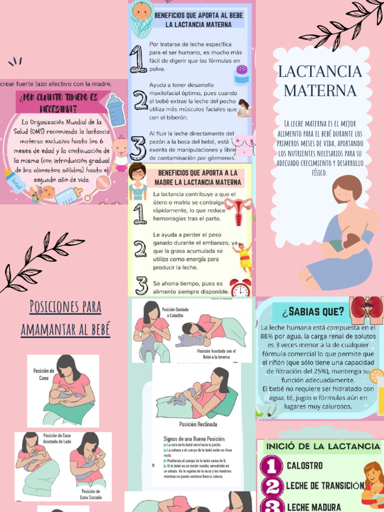 Triptico Lactancia Materna | PDF