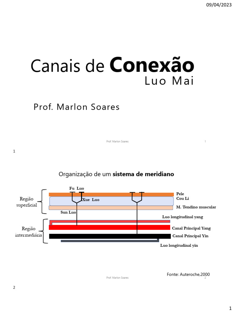 Canal de conexão Luo Mai. Prof. Marlon Soares | PDF | Órgão (anatomia) | Anatomia