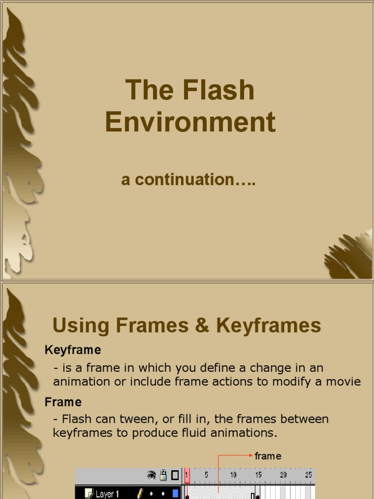 The Flash Environment 2 | PDF | Adobe Flash | Animation
