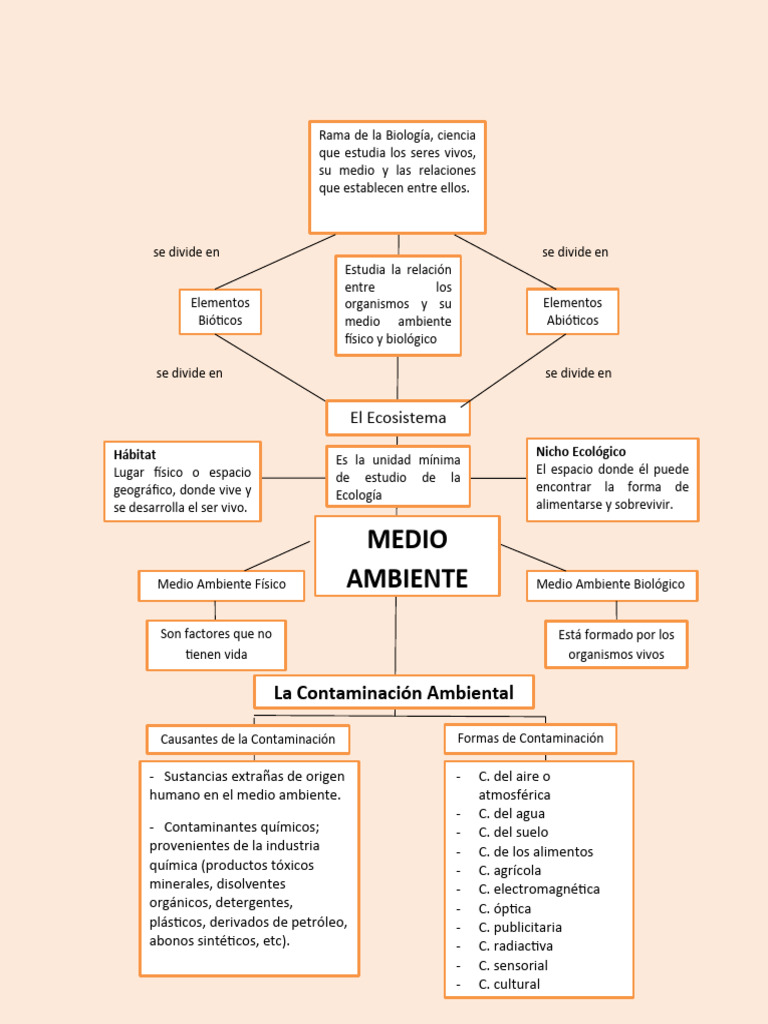 Mapa Conceptual Del Medio Ambiente (1) | PDF | Entorno natural ...