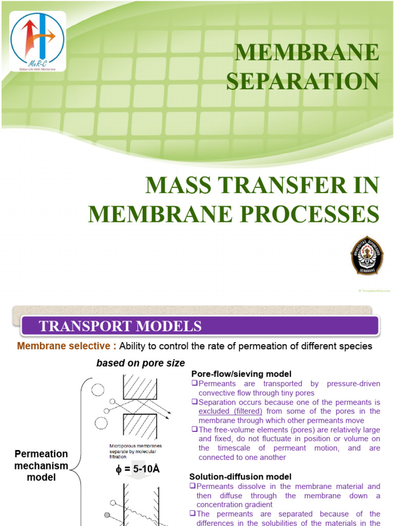 Mass Transfer in Membrane Processes | PDF | Diffusion | Membrane