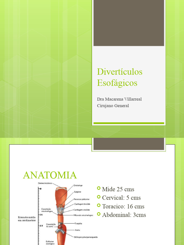 Divertículos Esofágicos | PDF | Esófago | Especialidades Medicas