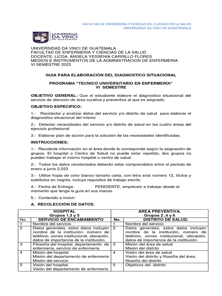 Guia para Elaboración Del Diagnostico Situacional Corregido | PDF ...