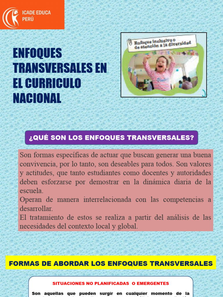 Enfoque Transversales | PDF | Inclusión (Educación) | Enseñando
