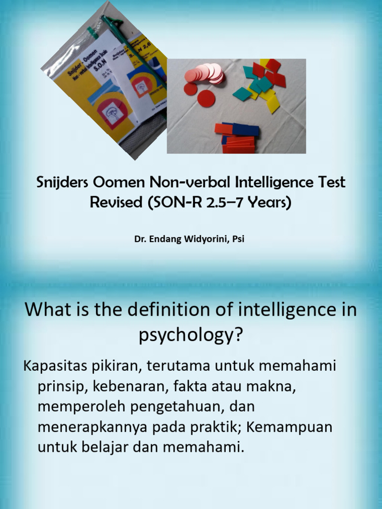 Snijders Oomen Non-Verbal Intelligence Test Revised (SON-R | PDF