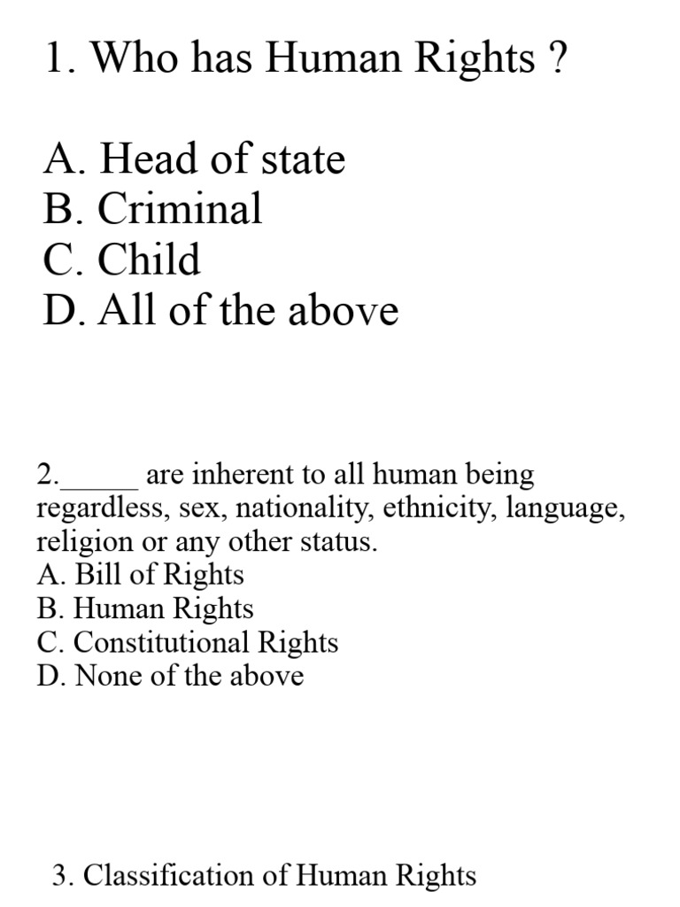 Assessment Human Rights | PDF