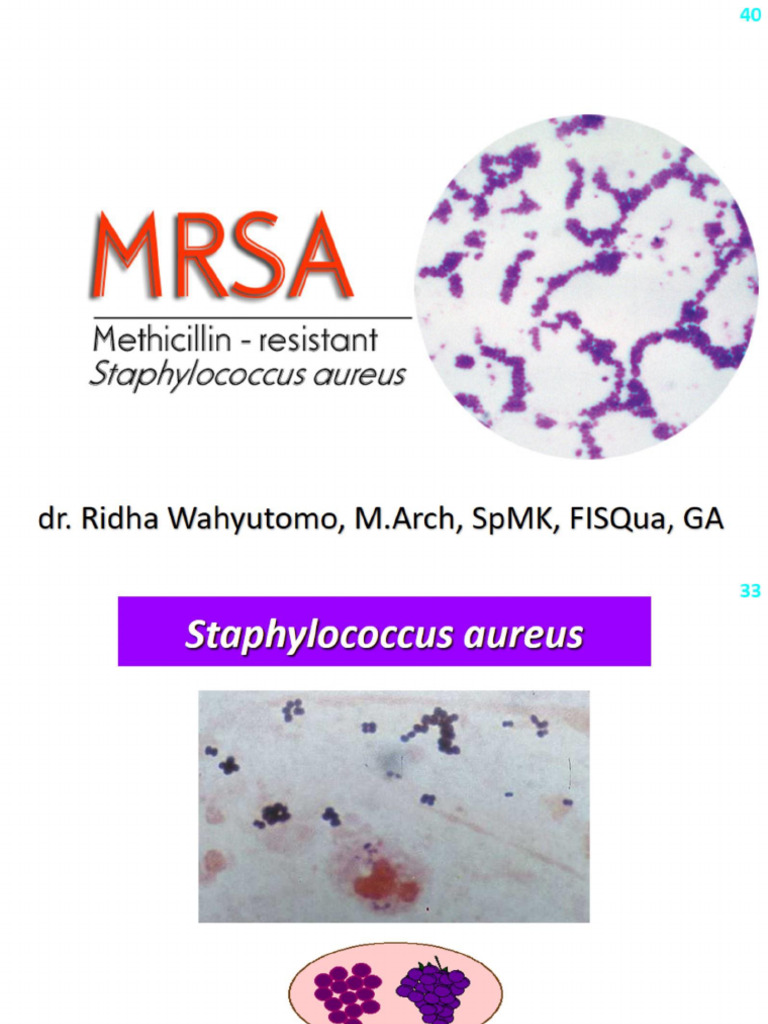 Mrsa 2023 | PDF