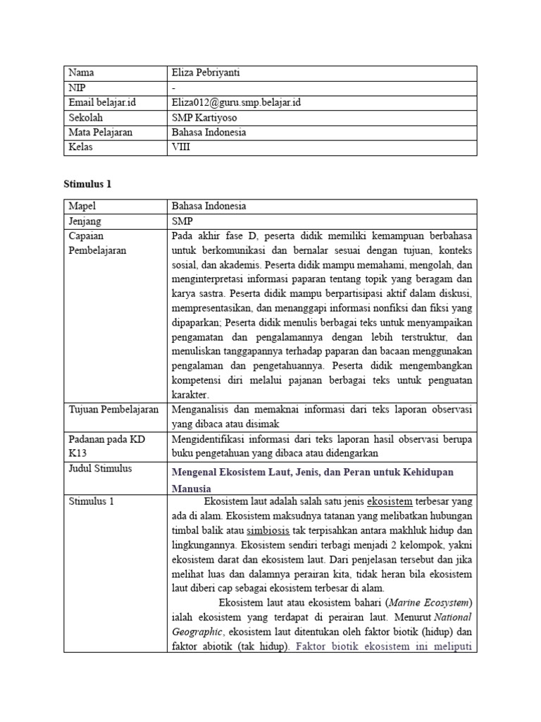 Contoh Soal AKM Eliza | PDF