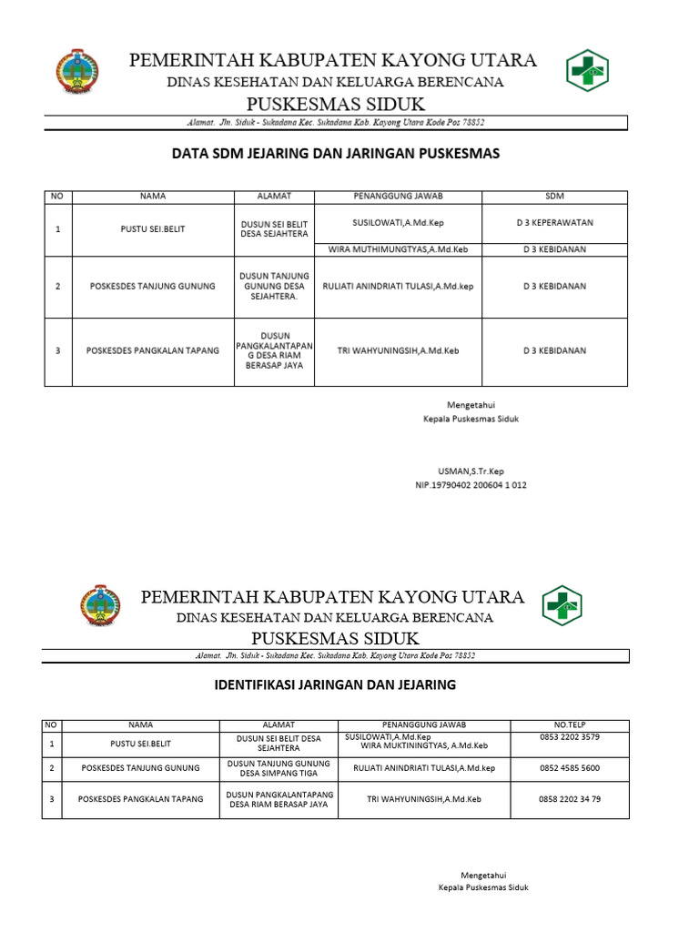 Jejaring Dan Jaringan Puskesmas | PDF