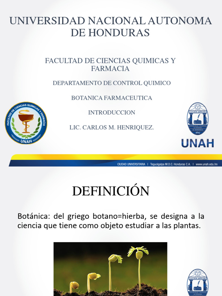 1_Definición y breve historia de la botánica y subdivsiones | PDF