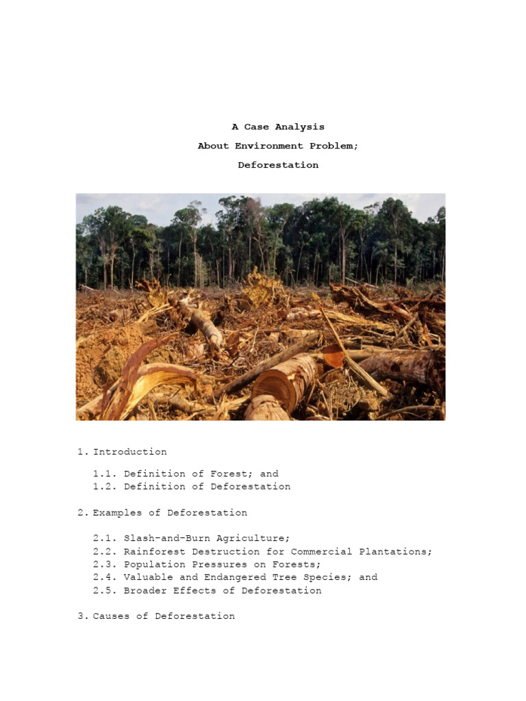 CASE ANALYSIS ABOUT DEFORESTATION | PDF