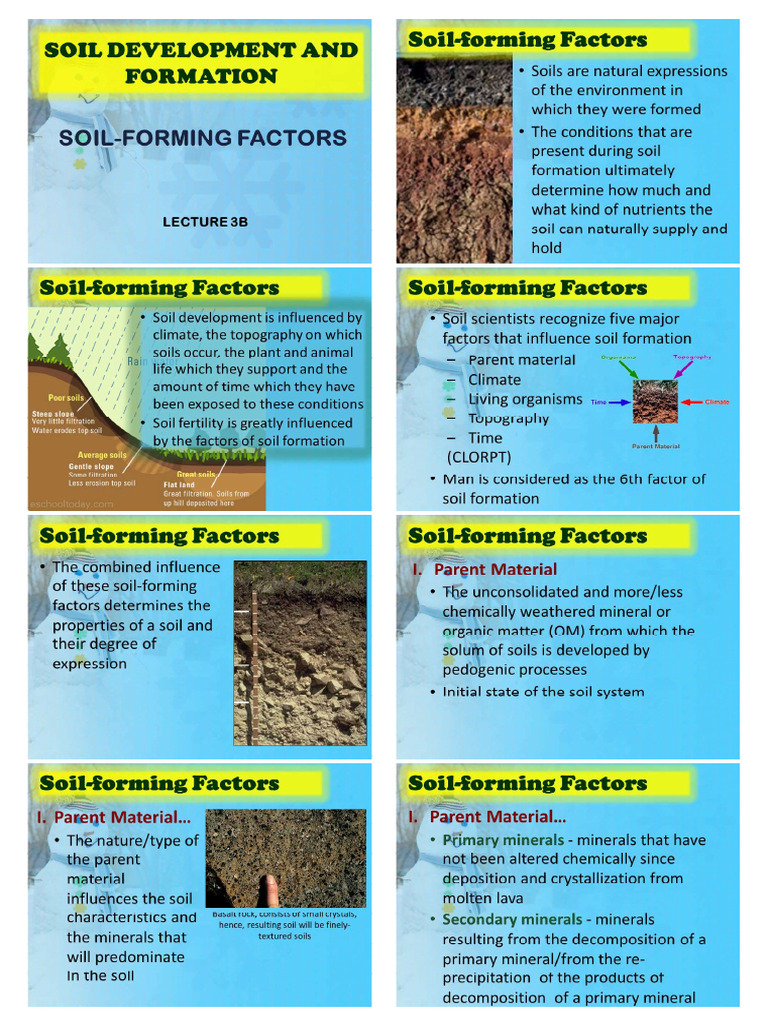 Lecture 3B Soil Development_Soil Forming Factors_for lecture HANDOUT | PDF