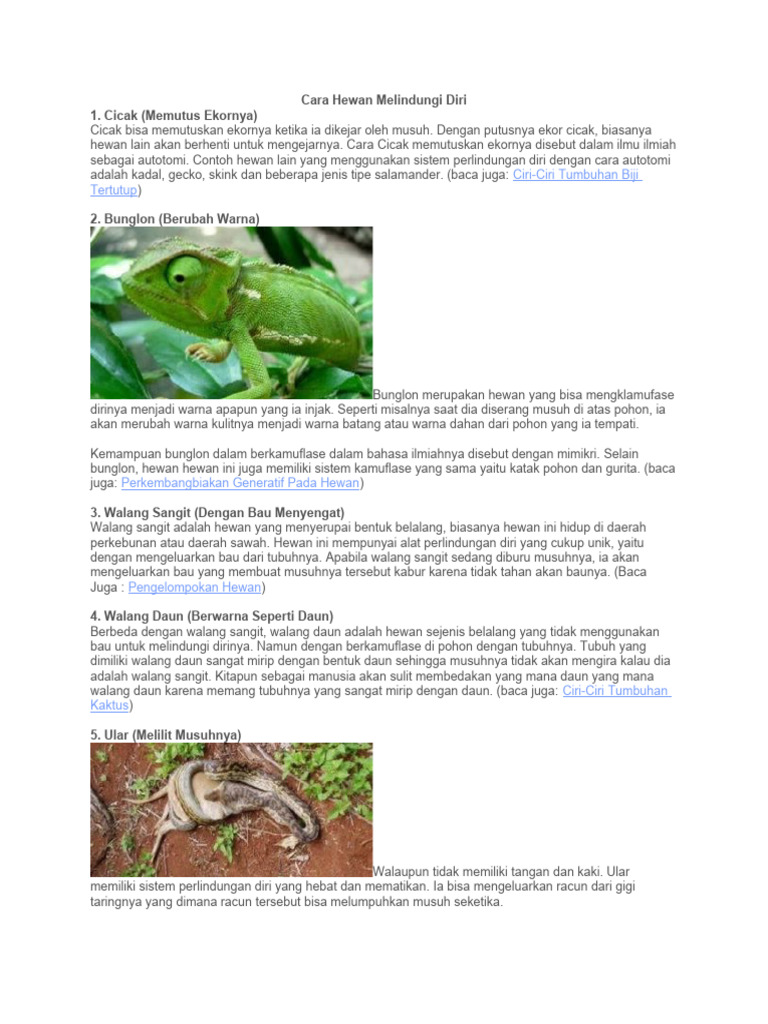 Cara Hewan Melindungi Diri (Hewan) | PDF