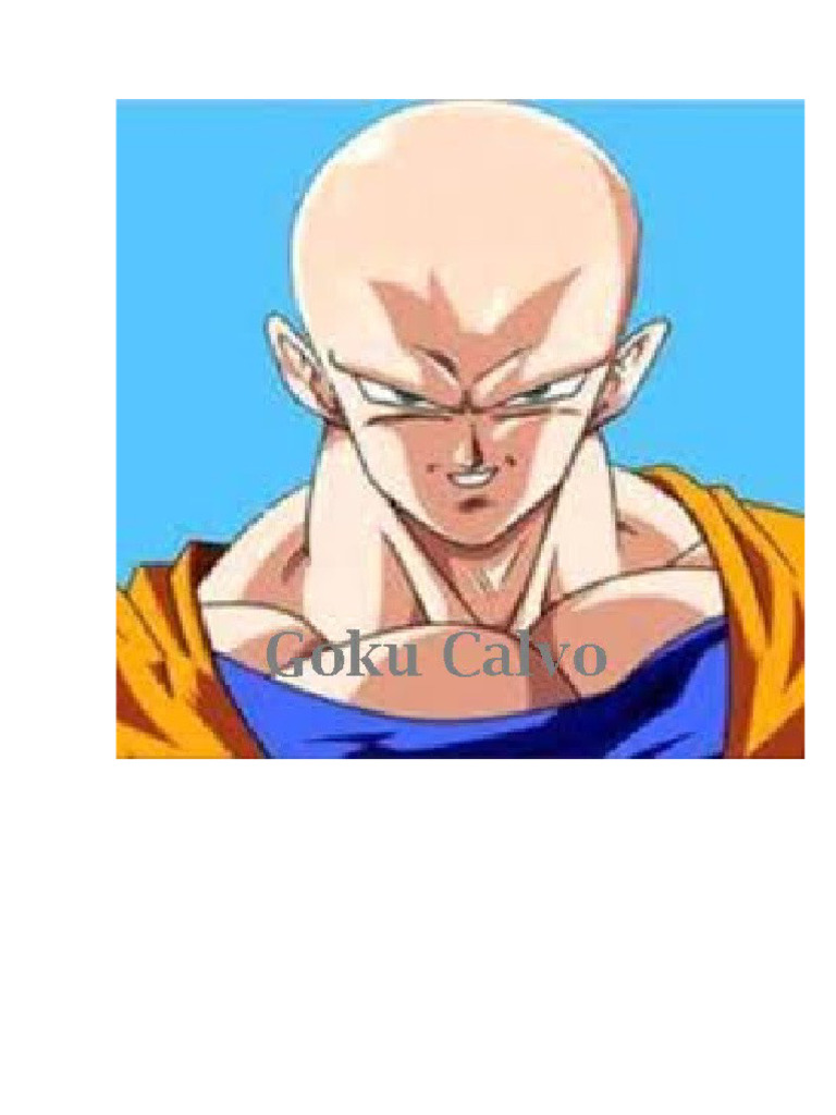 Goku Calvo | PDF