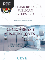 Ceye | PDF | Enfermería | Hospital