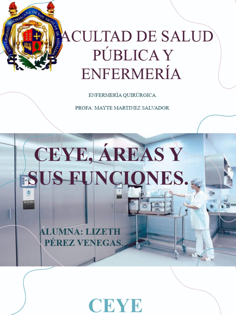 CEYE | PDF