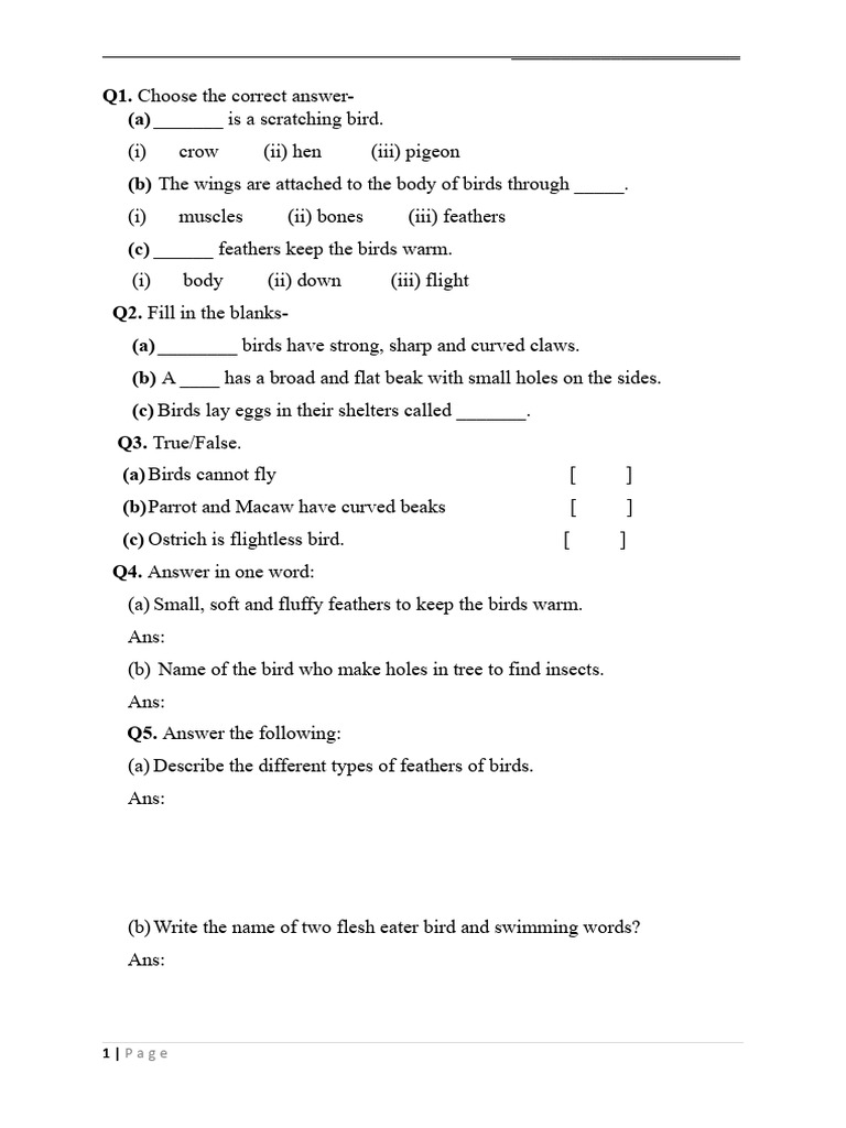 Class 3rd Science Worksheet-Nw | PDF