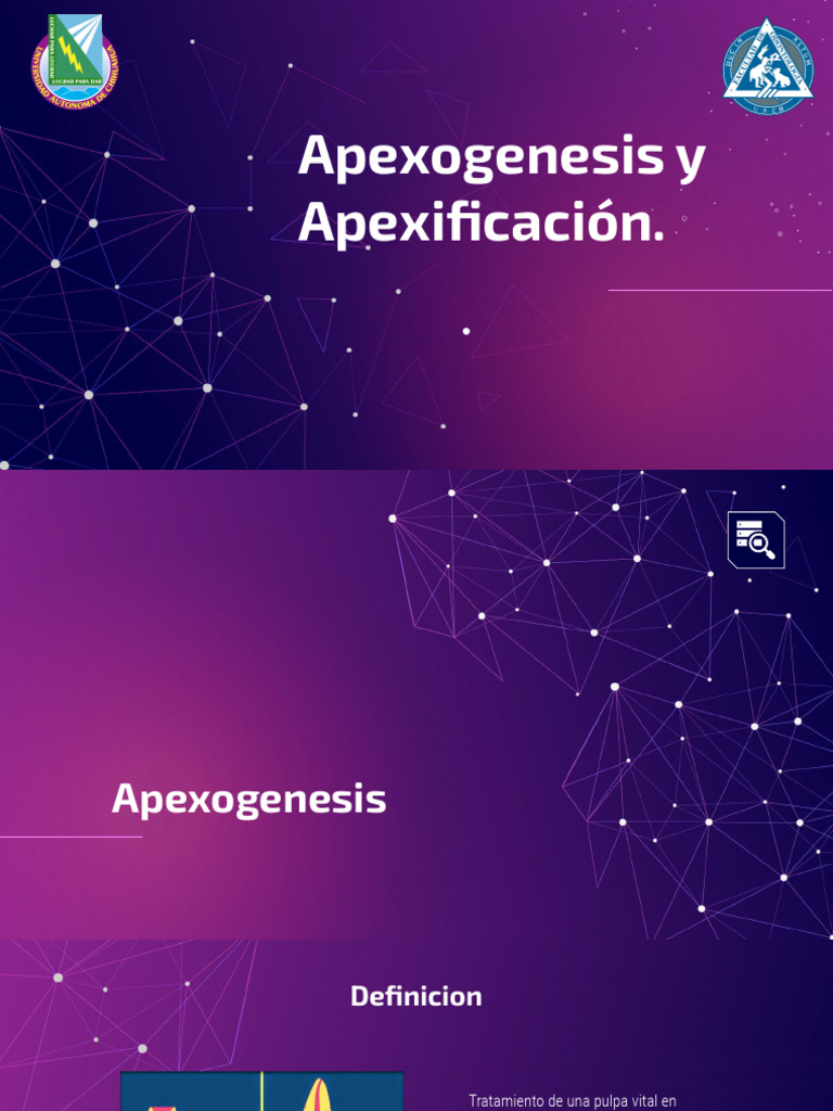 Apexogénesis y Apexificación Dental | PDF | Raíz | Calcio