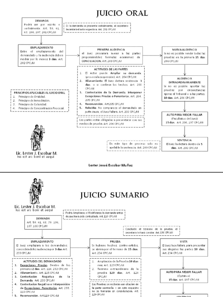 Proceso Civil - Juicio Oral, Sumario y Ordinario | PDF