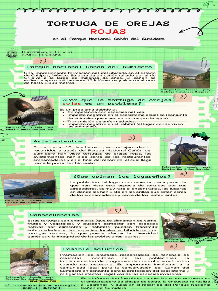 Impacto de la Tortuga de Orejas Rojas | PDF | Naturaleza | Ecología
