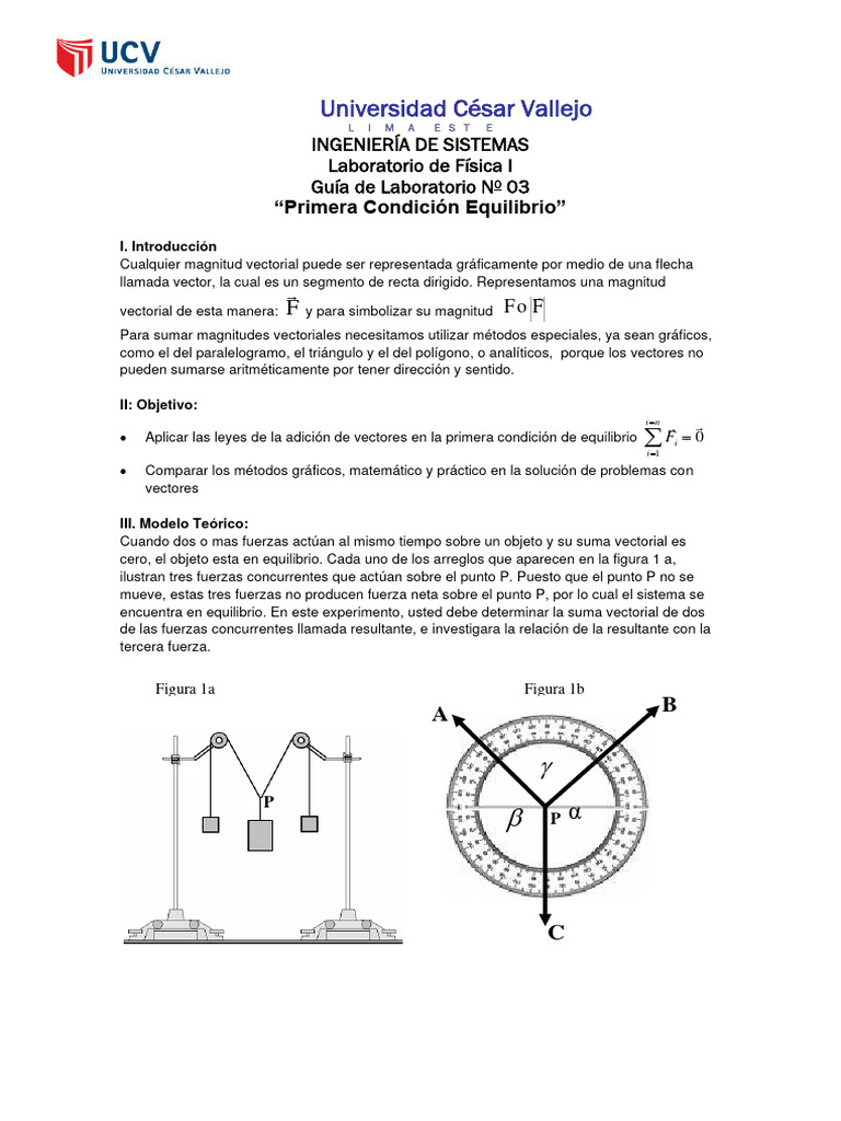 Lab 02 PRIMERA CONDICION DE EQUILIBRIO | PDF | Vector Euclidiano | Fuerza