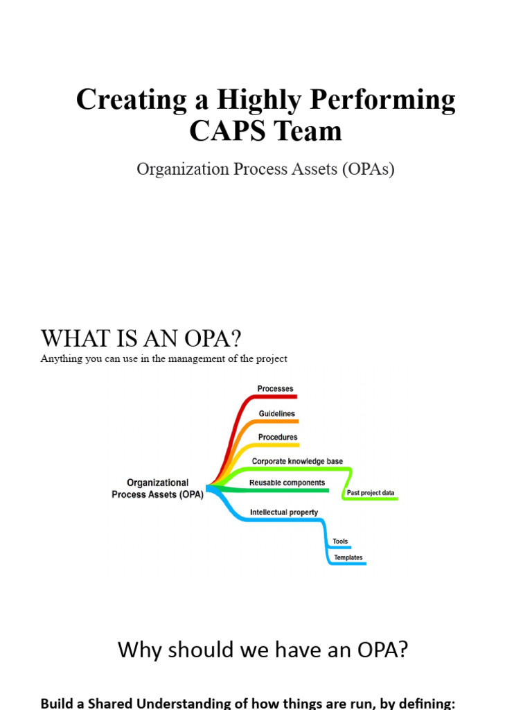 Caps Team Organizational Structure | PDF | Decision Making | Project ...