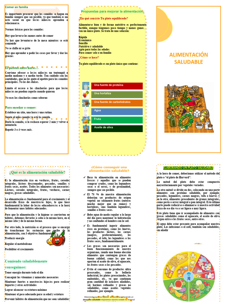 Triptico de La Alimentacion Saludable | PDF