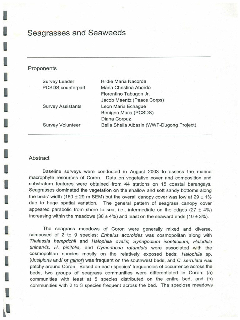 Seagrassess-and-Seaweeds Coron | PDF