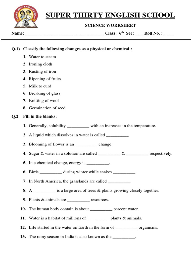 Worksheet Science 6th | PDF | Water | Plants