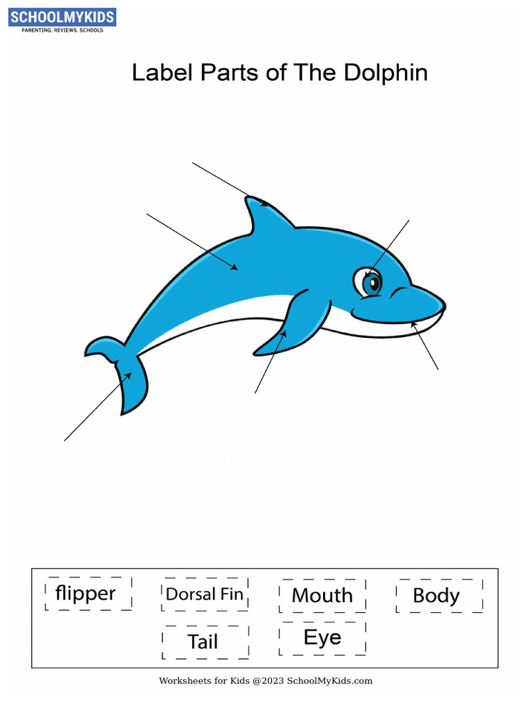 Label Parts of The Dolphin | PDF