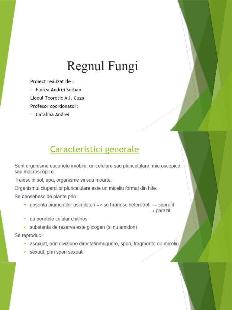Regnul Fungi | PDF