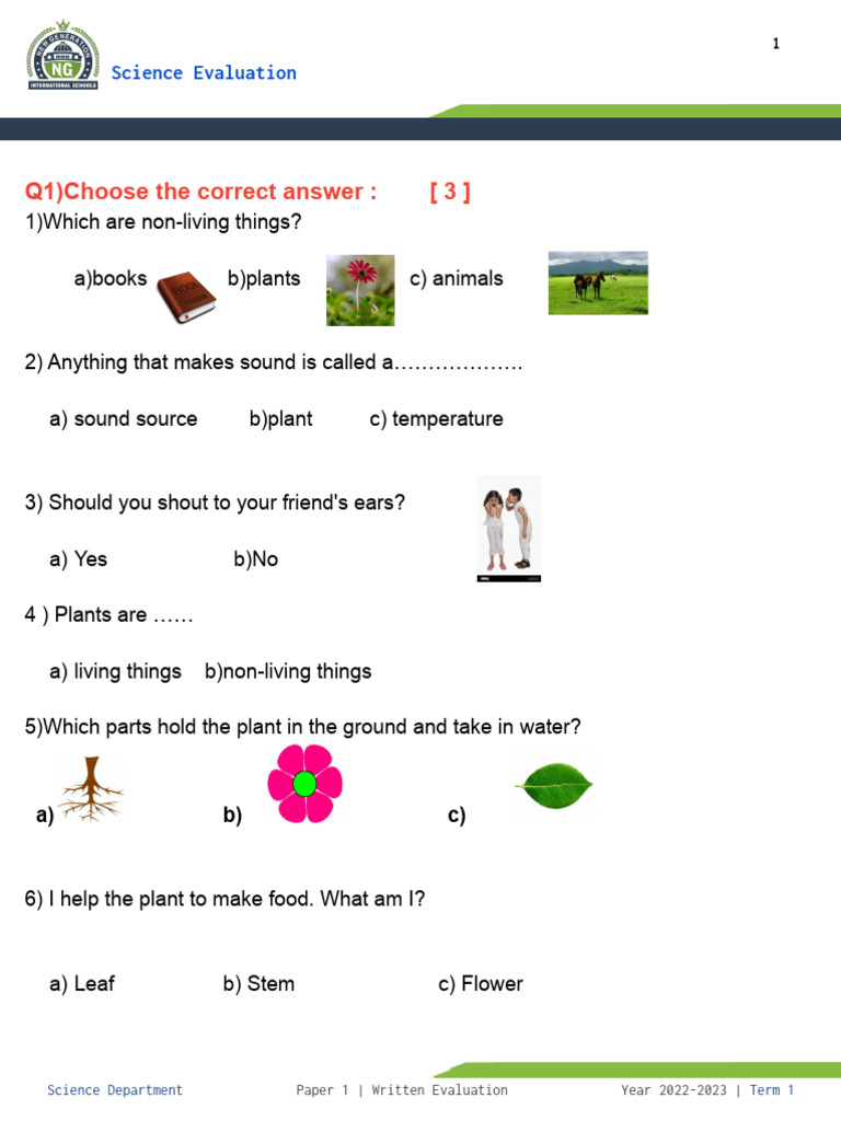 Science Year 1 EOTE | PDF | Plants | Botany