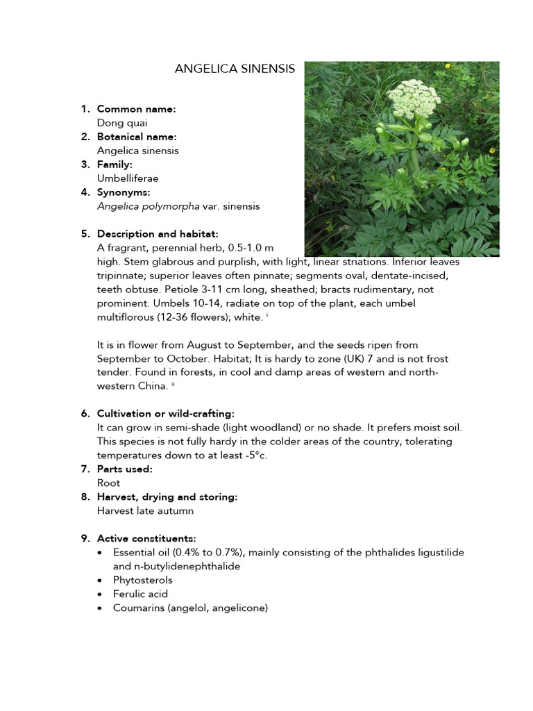 Angelica Sinensis | PDF