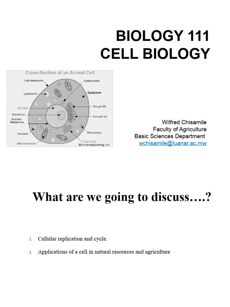 Cell Replication & Cycle | PDF