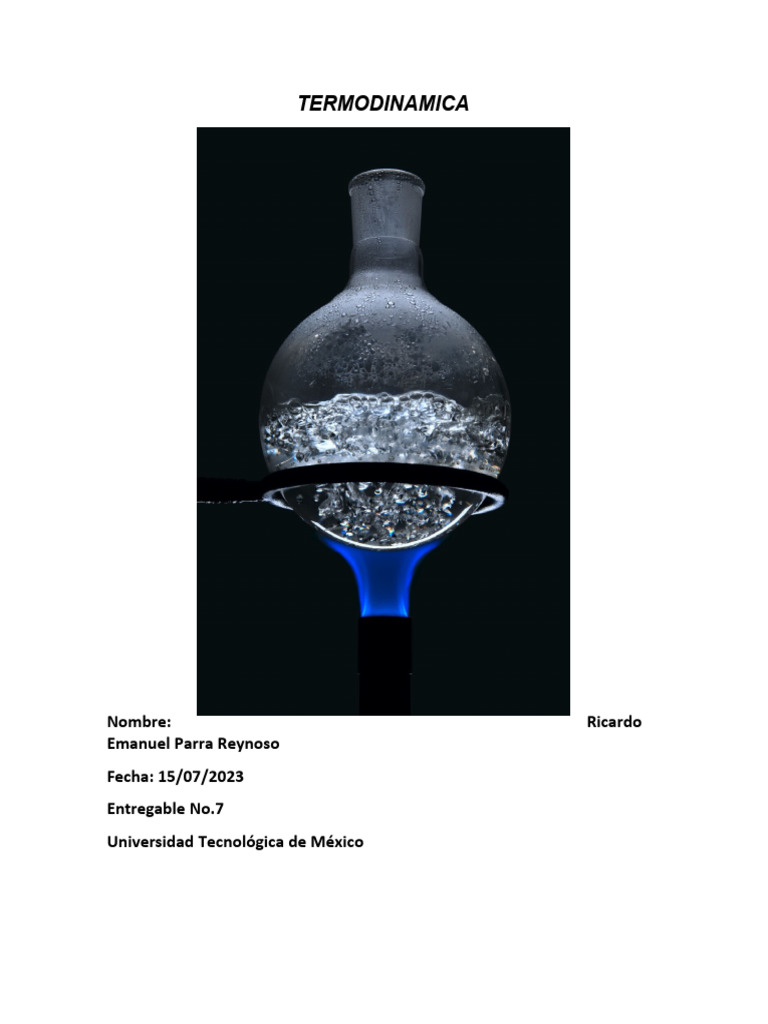 Termo Entregable 7 | PDF