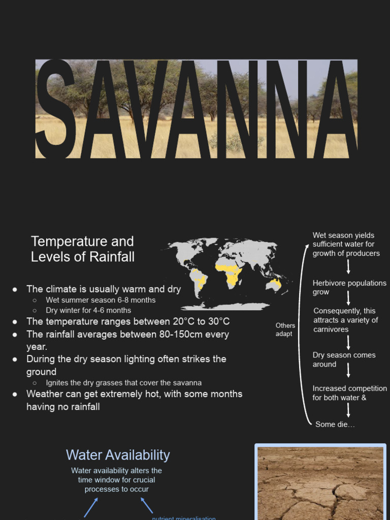 Savanna | PDF | Soil | Wet Season