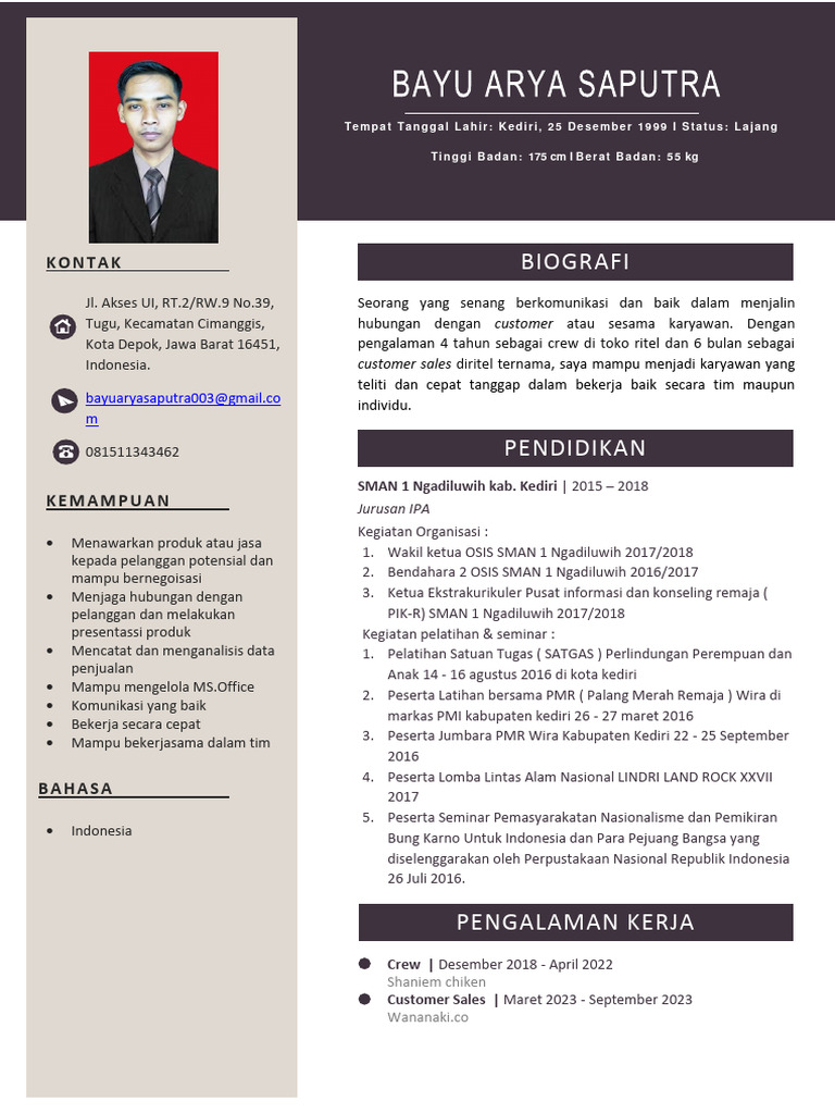 CV - Bayu Arya Saputra | PDF