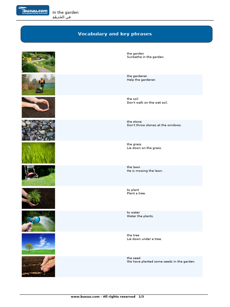 In The Garden - Busuu | PDF | Trees | Garden Plants