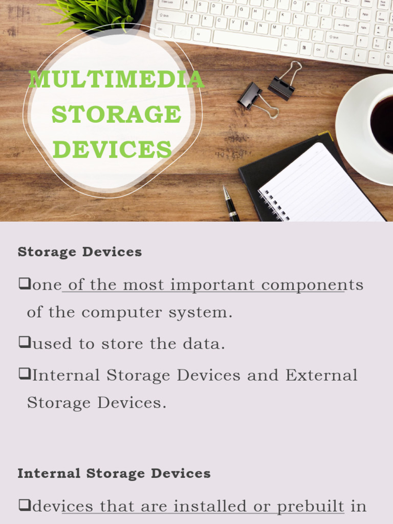 Multimedia Storage Devices | PDF | Solid State Drive | Usb Flash Drive