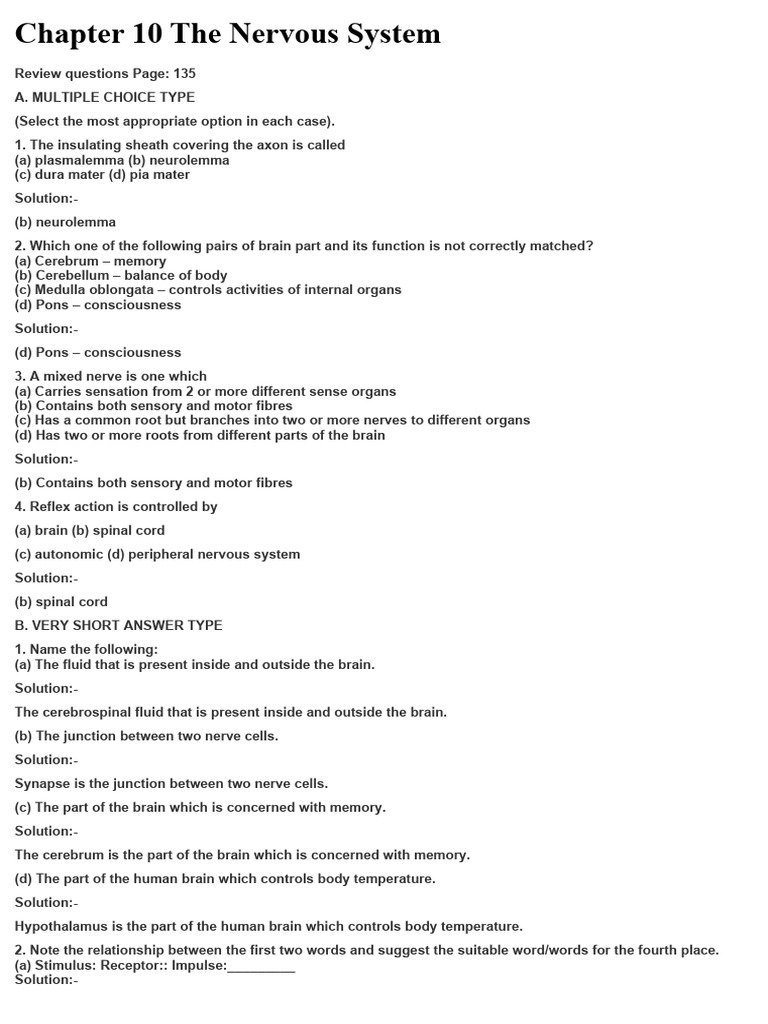 Chapter 10 The Nervous System | PDF | Nervous System | Central Nervous ...