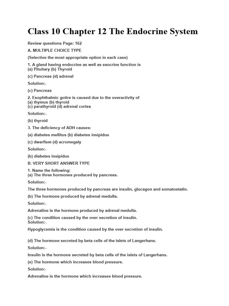Class 10 Endocrine System Review | PDF | Pancreas | Endocrine System