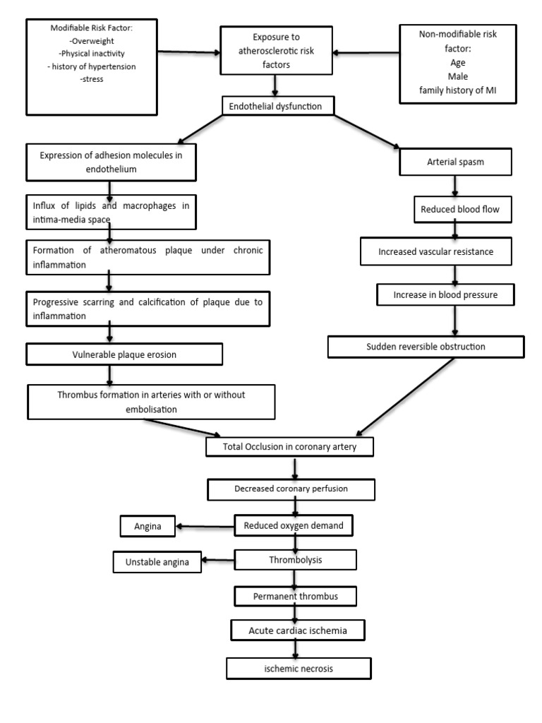 Pathophysiology STEMI | PDF | Myocardial Infarction | Ischemia