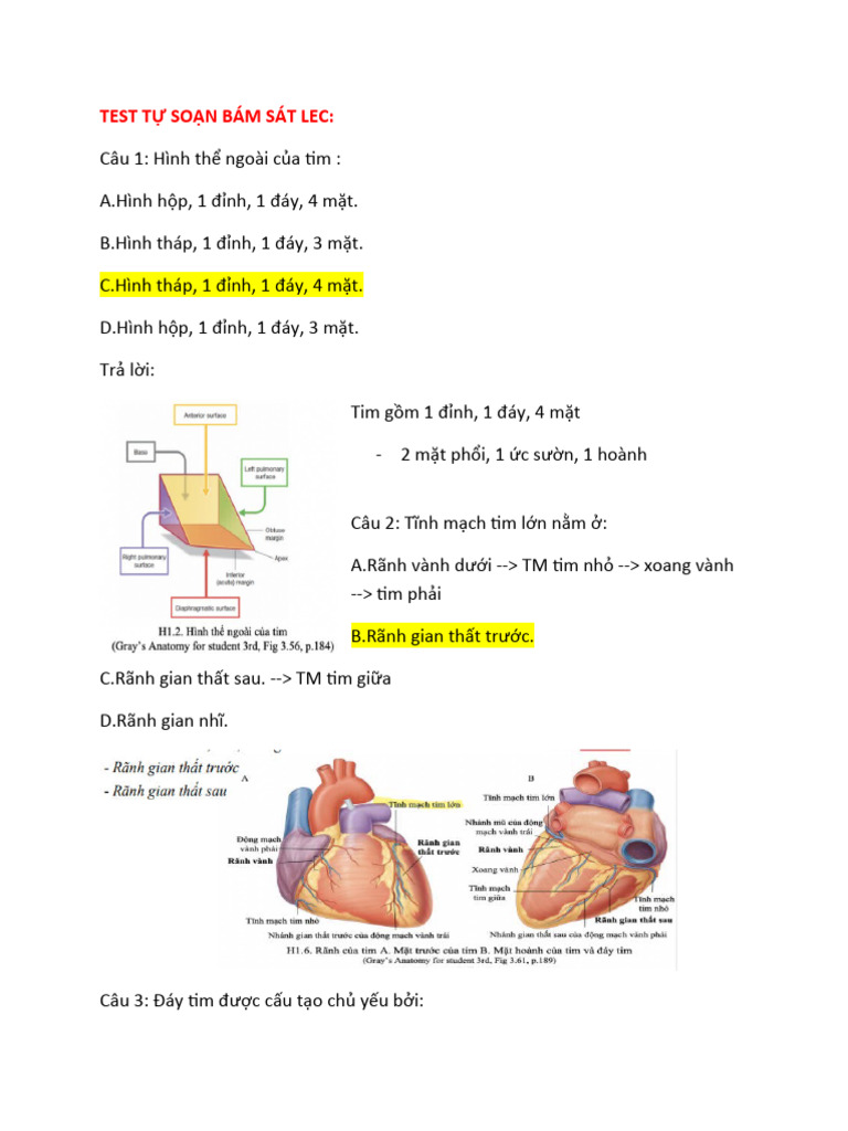 Lec 1 - MCQ | PDF