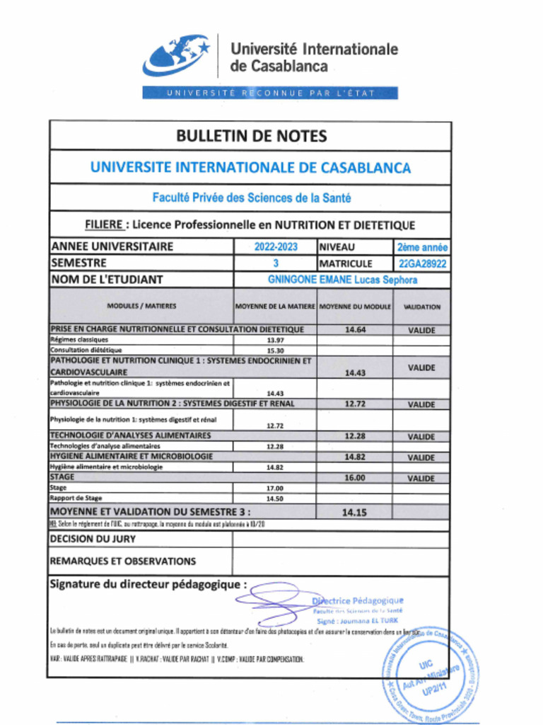 Gningone Emane Lucas Sephora s3.. | PDF