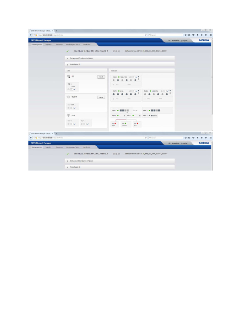 Microsoft Word - SRAN Capture | PDF