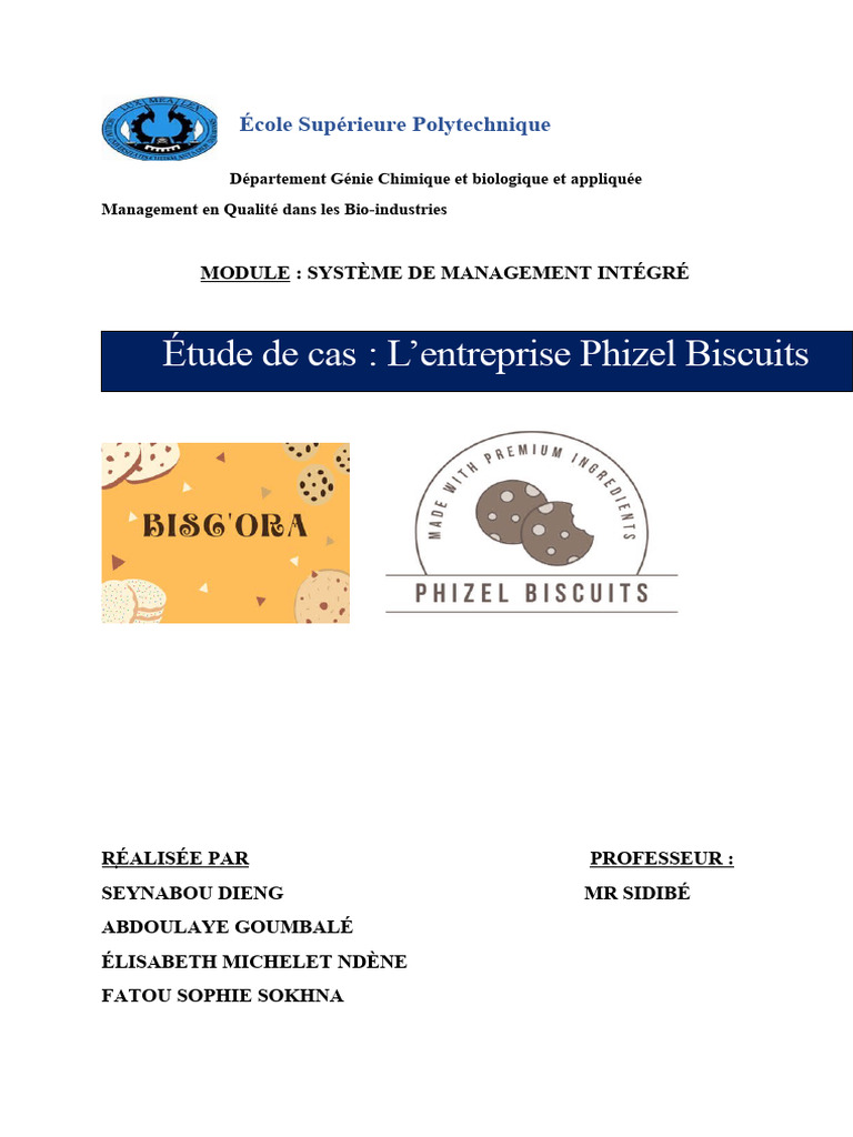 Systeme de Management Integre Smi | PDF | Audit | Business